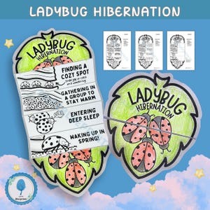 Hibernation & Brumation Craft Bundle – Fun, Interactive Winter Science ...