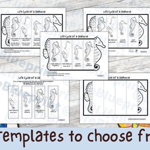 Foldable Seahorse Life Cycle Learning Activity for Kids Marine Life ...