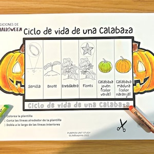 SPANISH Life Cycle of a Pumpkin Plant | Foldable Life Cycle Craft ...