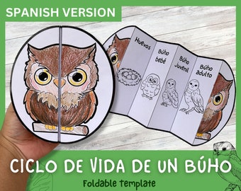 Foldable Butterfly Life Cycle Learning Activity for Kids A4 - Etsy Canada