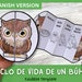 SPANISH Owl Life Cycle Learning Activity for Kids Montessori - Etsy