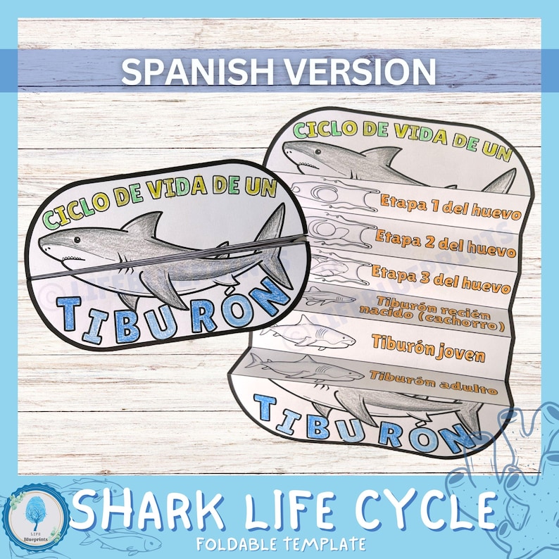 SPANISH Life Cycle of a Shark Science Activity for Kids | Foldable ...
