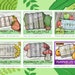 Life Cycle of Plants & Fungi Bundle of 6 Mushroom, Fruits Flowers ...