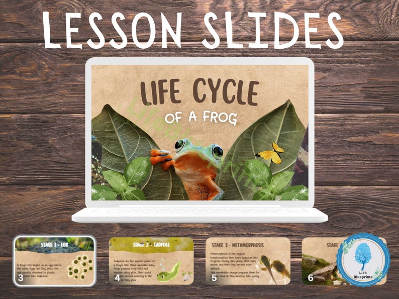 Frog Life Cycle Unit Study Poster, Flashcards, Lesson Plan Nature Study ...