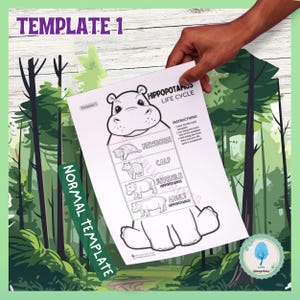 Hippopotamus Life Cycle Science Activity for Kids | Foldable Craft ...