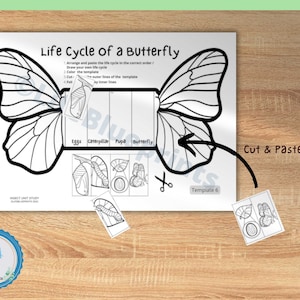 Foldable Butterfly Life Cycle Learning Activity for Kids | A4 and 11x8 ...