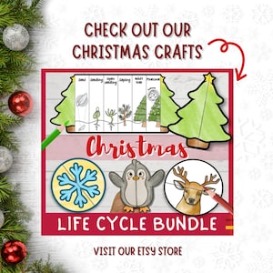 PINE TREE Life Cycle Foldable Templates | Christmas Tree Life Cycle ...