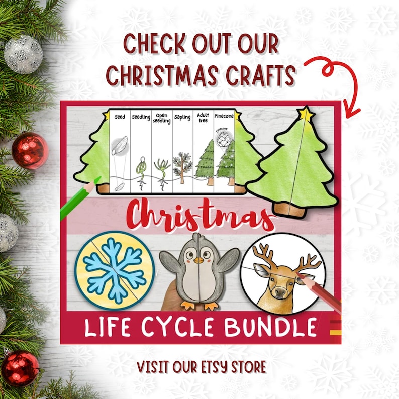 PINE TREE Life Cycle Foldable Templates | Christmas Tree Life Cycle ...