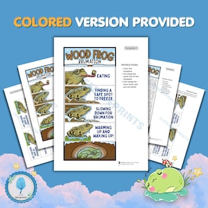 Frog Brumation | Hibernation Foldable Activity | Reptiles Hibernation ...