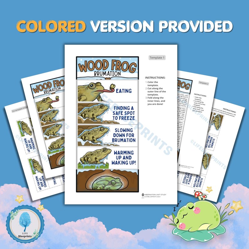 Frog Brumation | Hibernation Foldable Activity | Reptiles Hibernation ...
