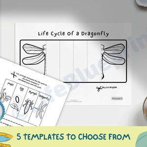 Foldable Dragonfly Life Cycle Learning Activity for Kids | A4 and 11x8 ...