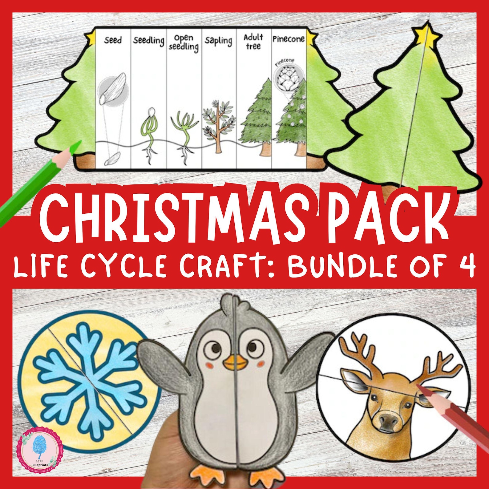 CHRISTMAS Life Cycle Bundle of 4, Foldable Crafts | Christmas Tree ...