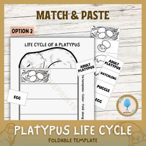 Platypus Life Cycle Science Activity for Kids | Foldable Craft ...