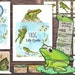 Axolotl Life Cycle Unit Study | Includes Posters, Flashcards ...