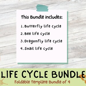INSECTS Life Cycle Bundle of 4 | Discounts With Bundle | Learning ...
