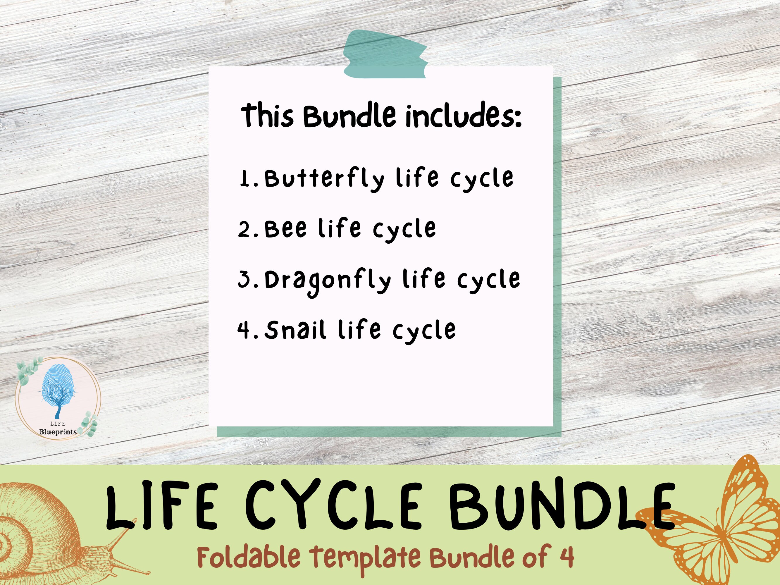 INSECTS Life Cycle Bundle of 4 Discounts With Bundle Learning Activity ...