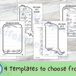 Axolotl Life Cycle Foldable Amphibian Life Cycle Learning Activity for ...