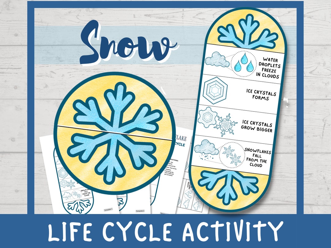 SNOW Life Cycle Christmas Snow Unit Study Montessori Learning Science ...
