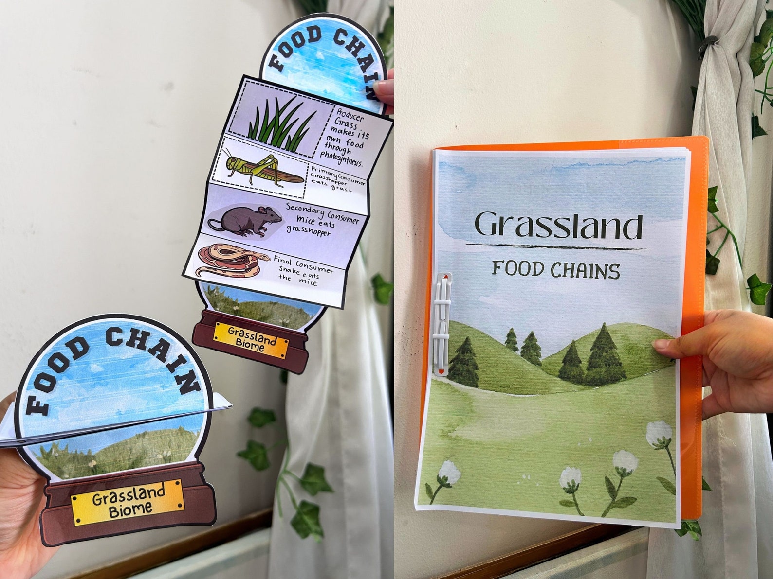 Grassland Food Chains Unit Study Snow Globe Food Web Printable A4 ...