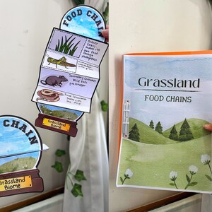 Grassland Food Chains Unit Study | Snow Globe | Food Web Printable | A4 ...
