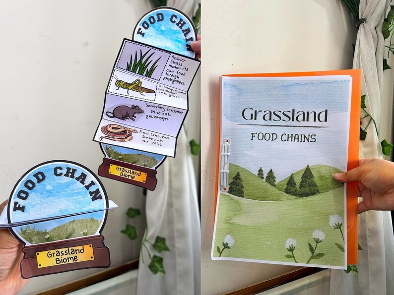 Grassland Food Chains Unit Study Snow Globe Food Web Printable A4 ...