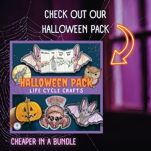 Foldable Owl Life Cycle Learning Activity for Kids | Perfect Halloween ...