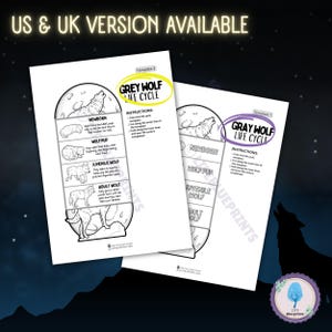 Grey Wolf Life Cycle Science Activity | Foldable Craft | Wolf Unit ...