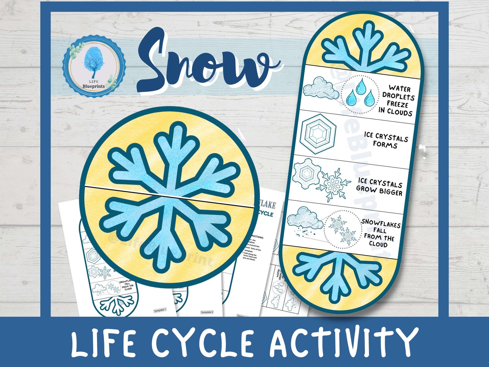 SNOW Life Cycle | Christmas | Snow Unit Study | Montessori Learning ...