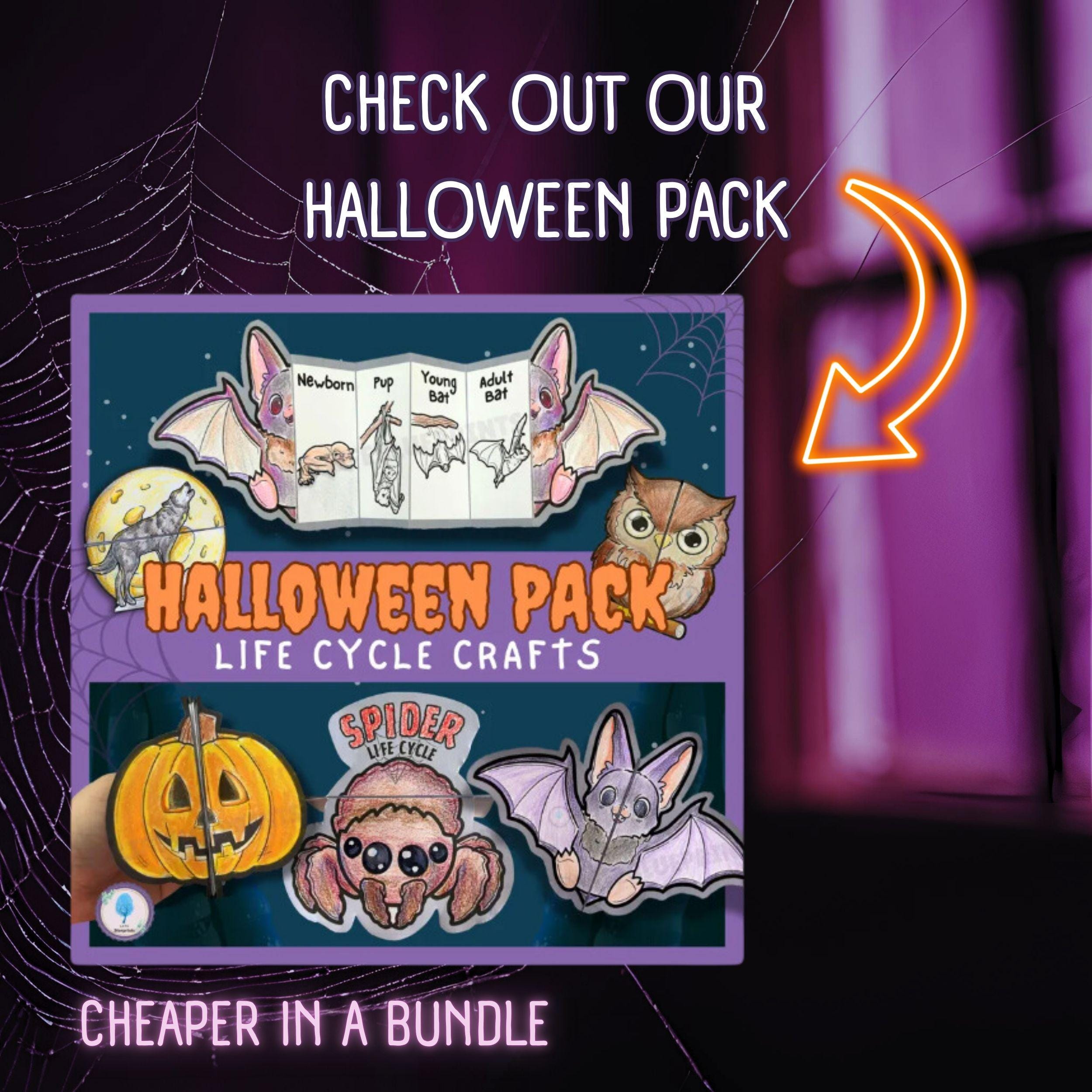 Foldable Pumpkin Life Cycle Learning Activity for Kids | Halloween ...
