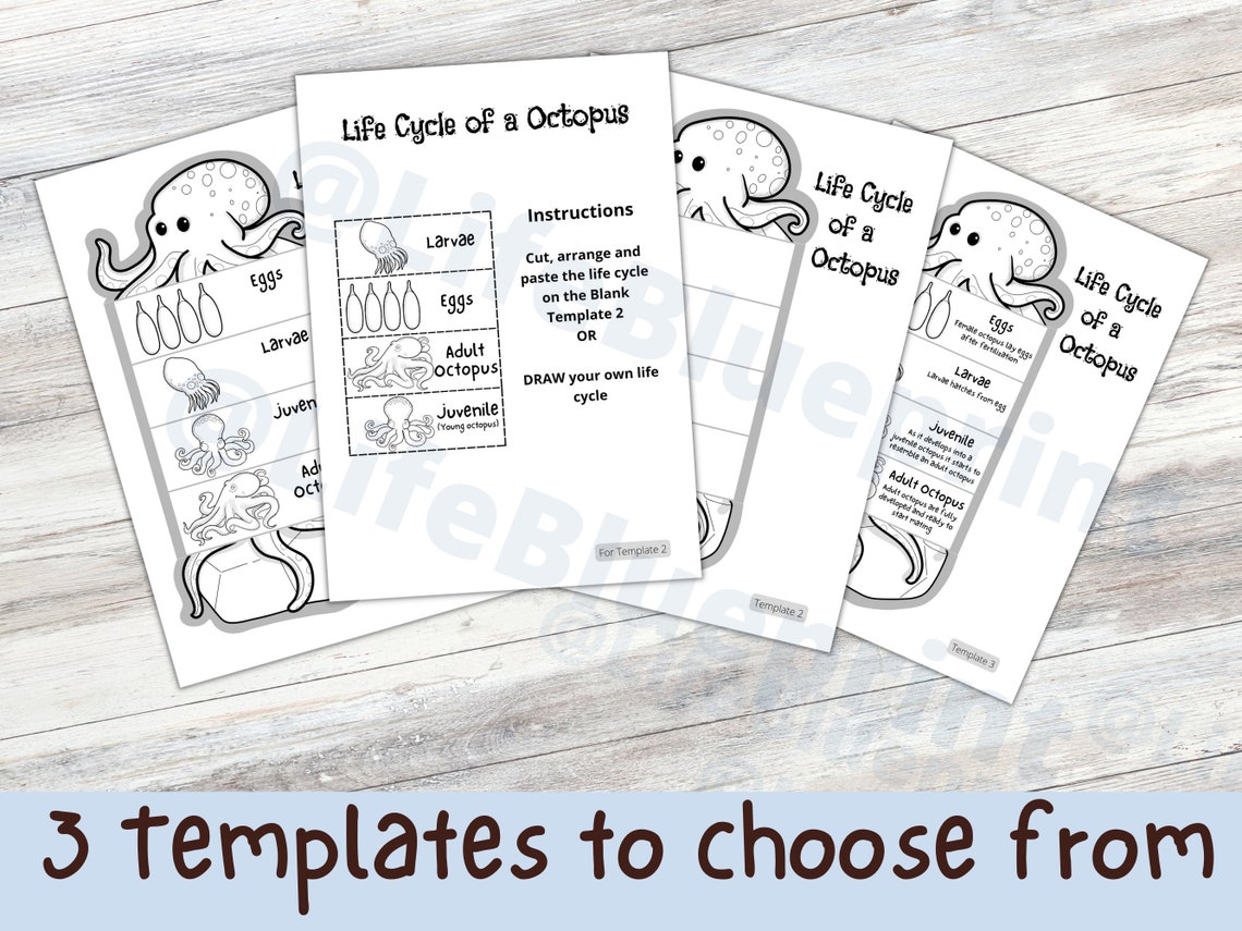 Foldable Octopus Life Cycle Learning Activity for Kids A4 and 11x8.5 ...