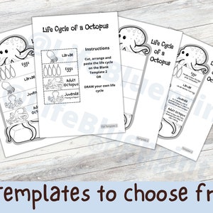 Foldable Octopus Life Cycle Learning Activity for Kids A4 and 11x8.5 ...