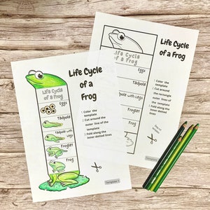 Foldable Frog Life Cycle Learning Activity for Kids A4 and 11x8.5 Inch ...
