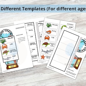 Marine Food Chains Foldable Kids' Craft | Snow Globe | Food Web ...