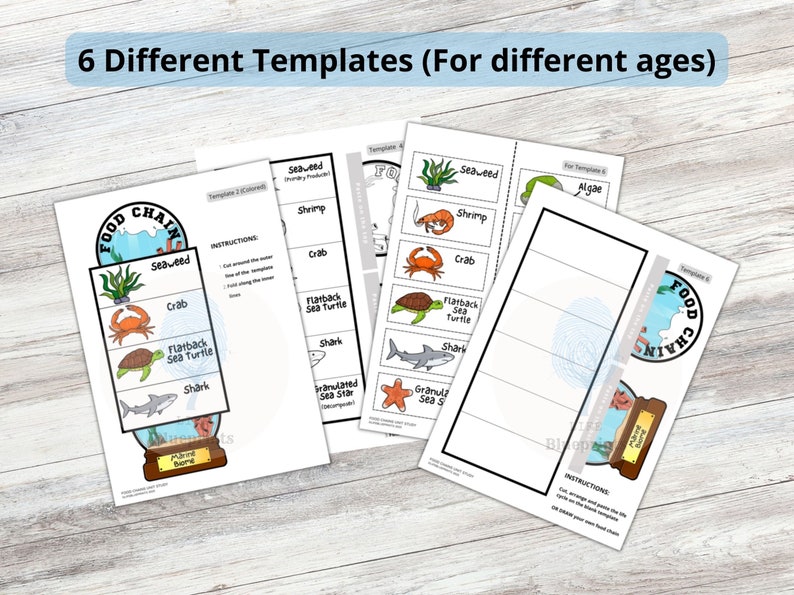 Marine Food Chains Foldable Kids' Craft | Snow Globe | Food Web ...