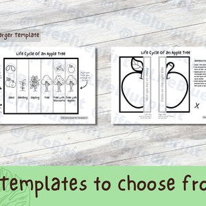 Foldable Apple Life Cycle Learning Activity for Kids A4 and 11x8.5 Inch ...