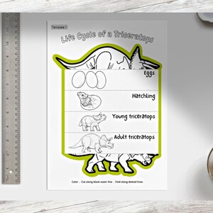 Triceratops Dinosaur Life Cycle Learning Activity for Kids - Etsy