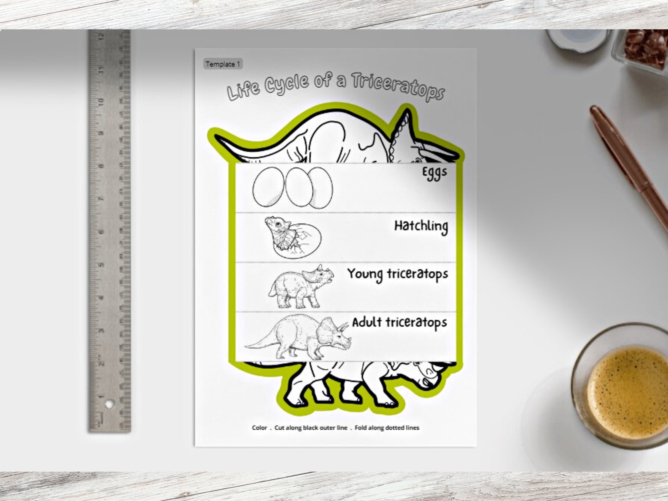 Triceratops Dinosaur Life Cycle Learning Activity for Kids - Etsy