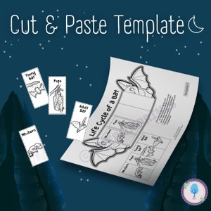 Life Cycle of a Bat Science Activity for Kids | Foldable Craft | Bat ...