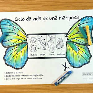 SPANISH Life Cycle of a Monarch Butterfly | Foldable Life Cycle Craft ...