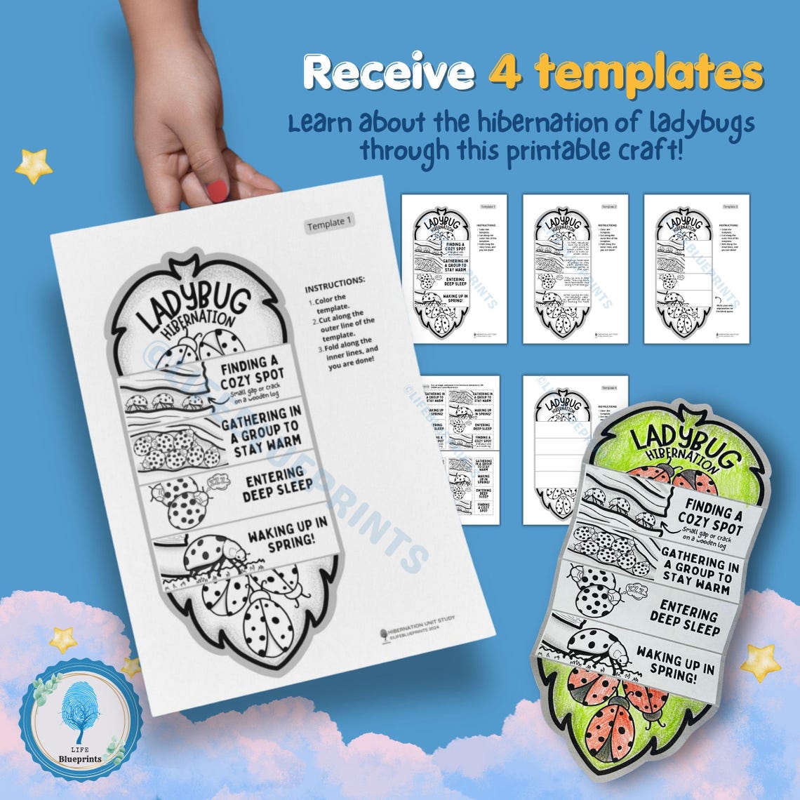 Ladybugs Hibernation Foldable Activity | Winter Sleep Study ...