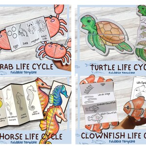 Marine Life Cycle Bundle of 6 Templates Ocean Discounts With Bundle ...