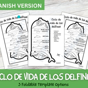 SPANISH Dolphin Life Cycle Learning Activity for Kids | A4 and 11x8.5 ...