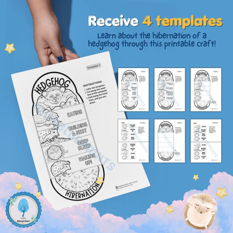 Hedgehog Hibernation Foldable Activity | Winter Sleep Study ...