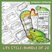 Foldable Frog Life Cycle Learning Activity for Kids A4 and 11x8.5 Inch ...