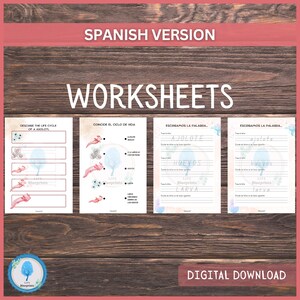 SPANISH Axolotl Life Cycle Unit Study | Includes Posters, Flashcards ...