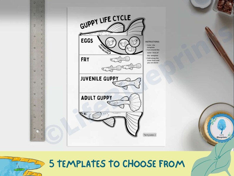 Foldable Guppy Fish Life Cycle Learning Activity for Kids A4 and 11x8.5 ...