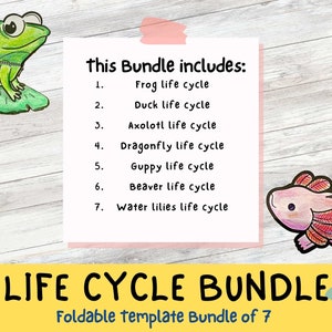 POND BIOME Life Cycle Bundle of 7 Templates | Discounts With Bundle ...