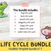 POND BIOME Life Cycle Bundle of 7 Templates | Discounts With Bundle ...