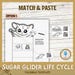 Sugar Glider Life Cycle Activity for Kids | Foldable Craft | Australian ...