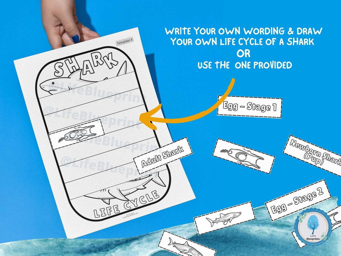 Life Cycle of a Shark Science Activity for Kids Foldable Craft Ocean ...